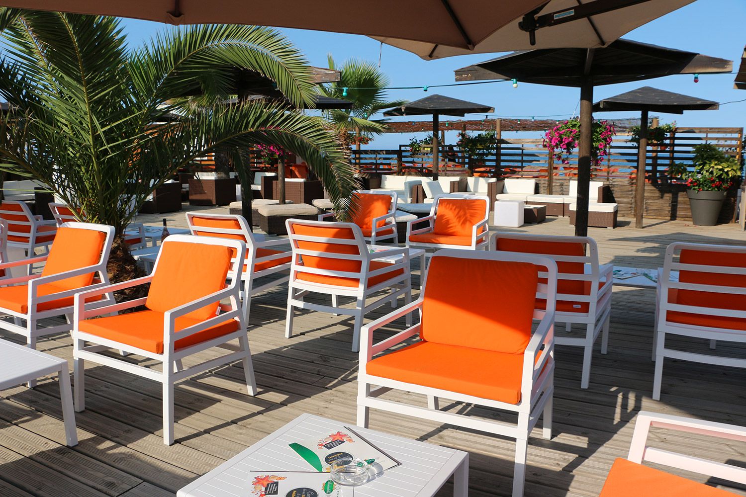 Bar et Restaurant en Bord de Mer moules frites Paëlla