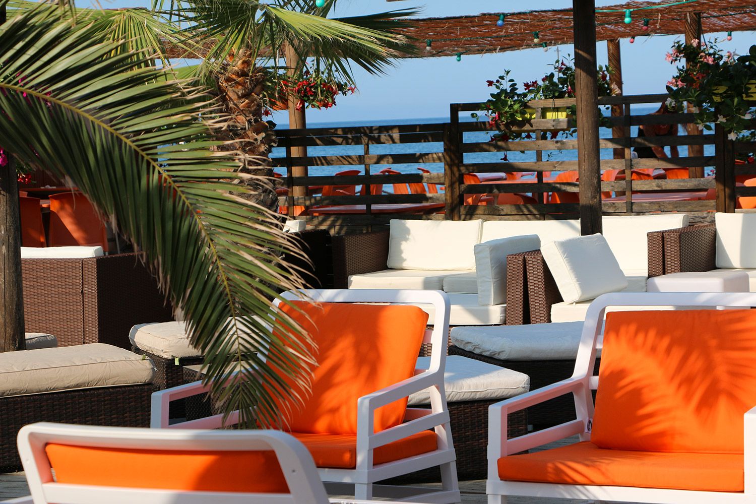 Bar et Restaurant en Bord de Mer moules frites Paëlla